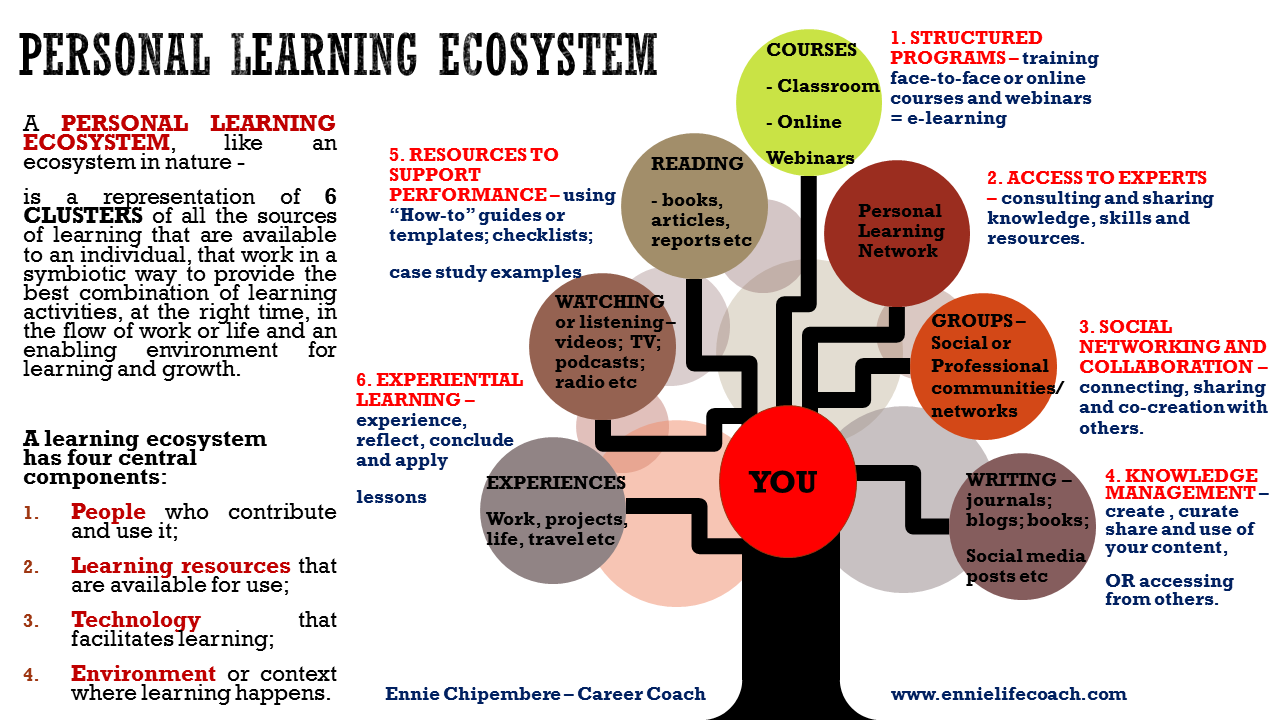 Learn with the Career Coach Journal – Personal Learning Ecosystem ...